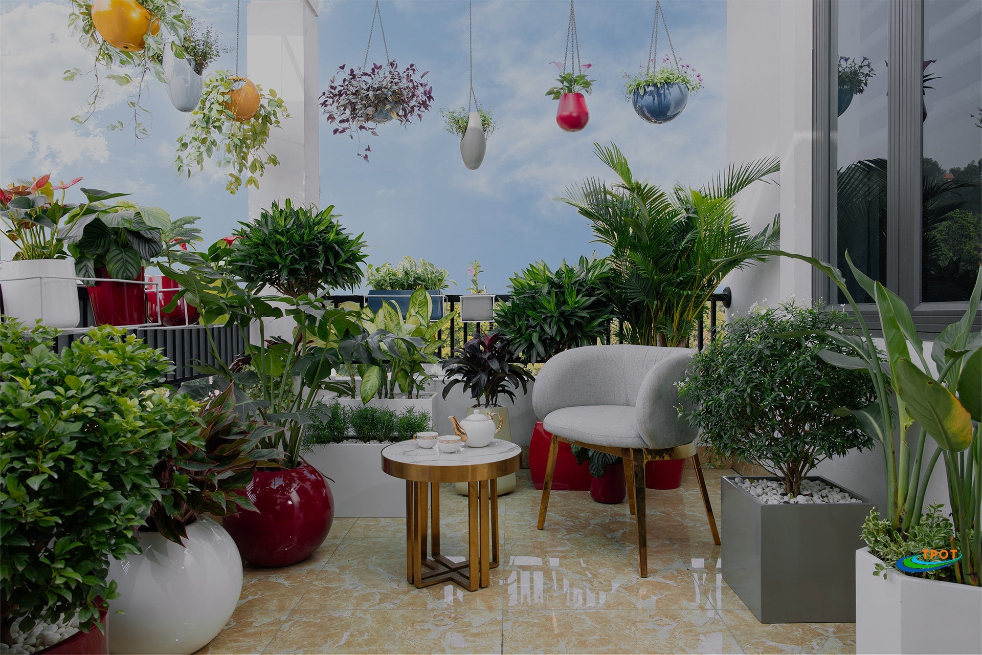 Cây Hoa Cảnh – TPOT